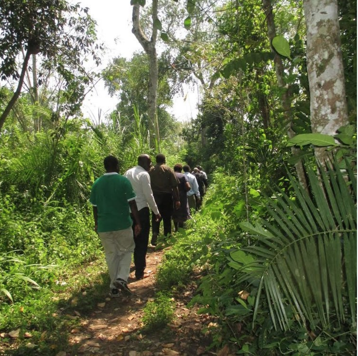 Lazarus’ Trees – Bethany Land Institute